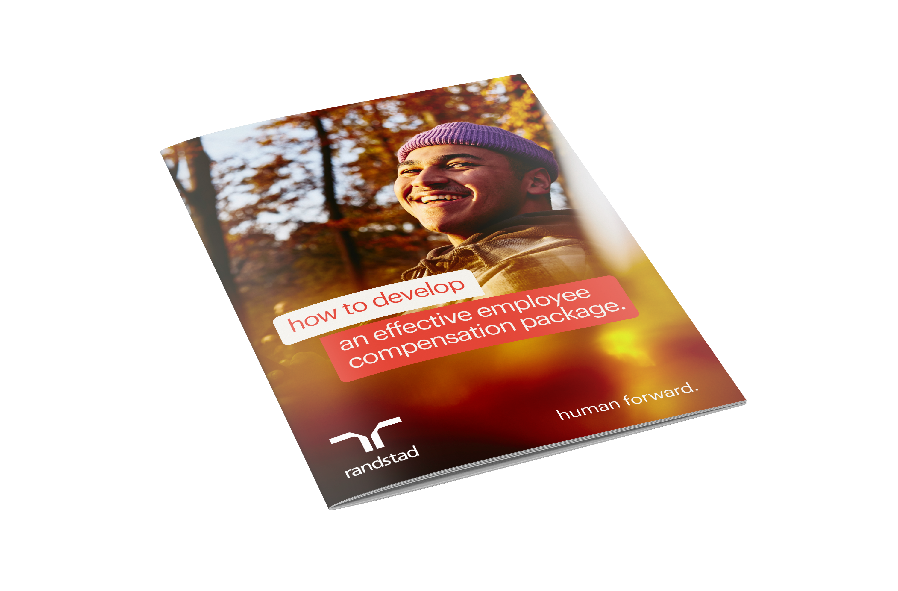 Download How To Develop An Effective Employee Compensation Package download-how-to-develop-an-effective-employee-compensation-package